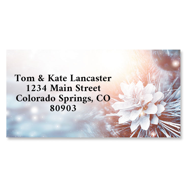 Evergreen Winter Border Return Address Labels | Colorful Images