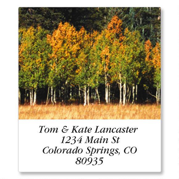 Autumn Colors Select Return Address Labels | Colorful Images