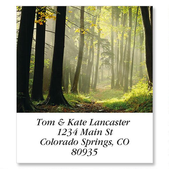 Autumn Forest Path Select Return Address Labels | Colorful Images