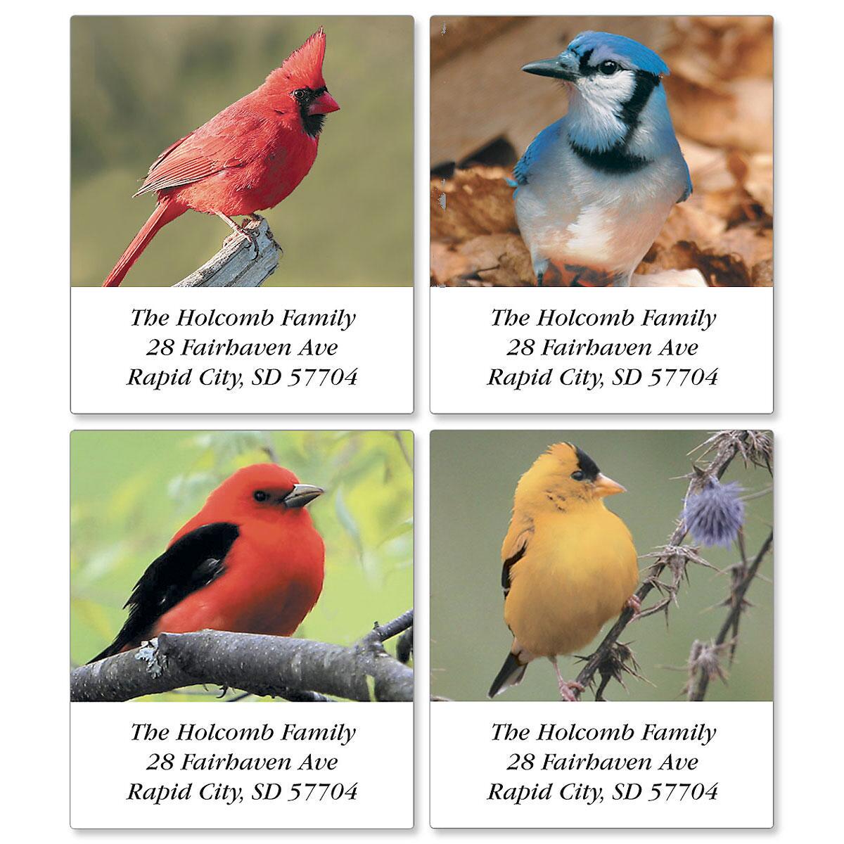 Beautiful Birds Address Labels | Colorful Images