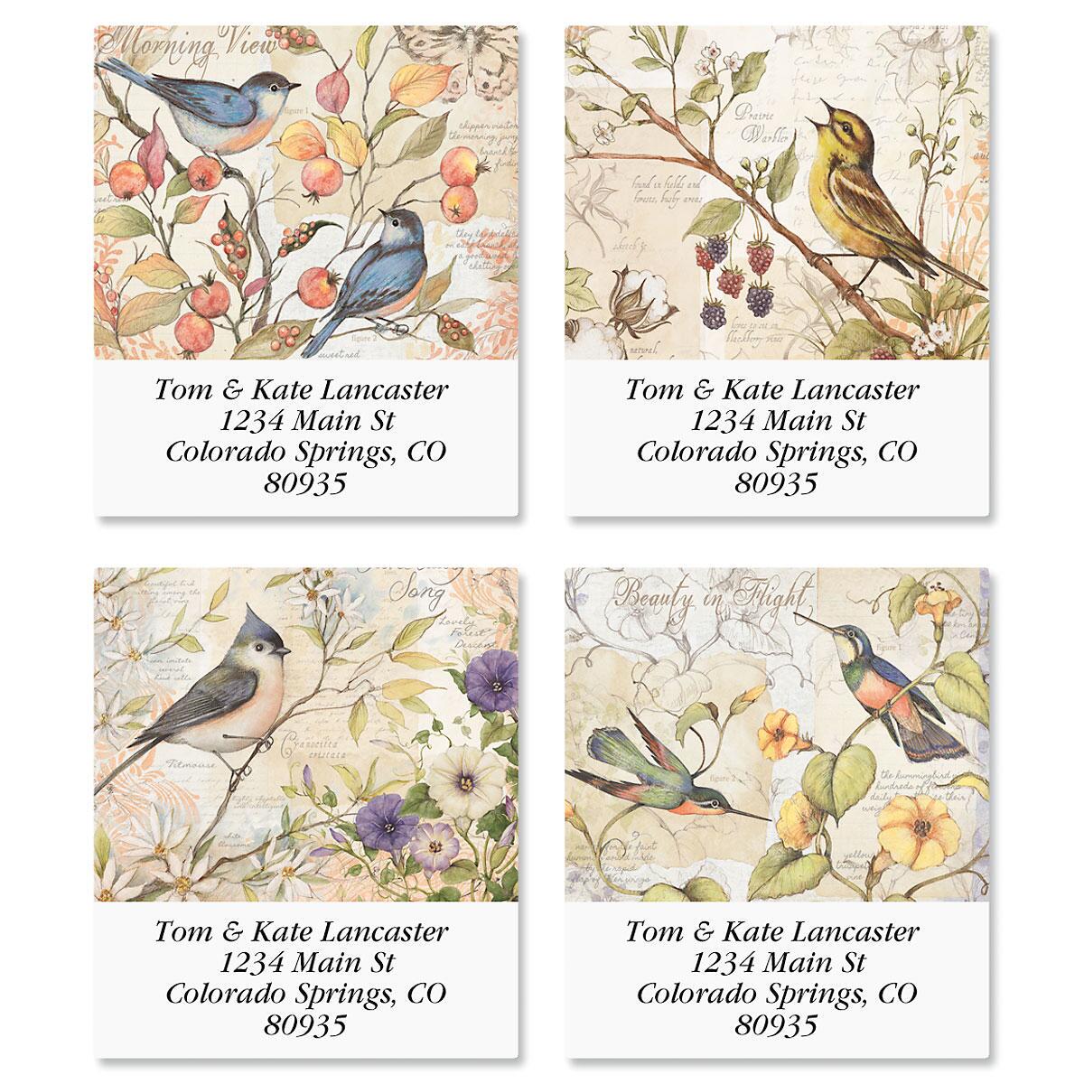 Bird Field Guide Select Return Address Labels | Colorful Images