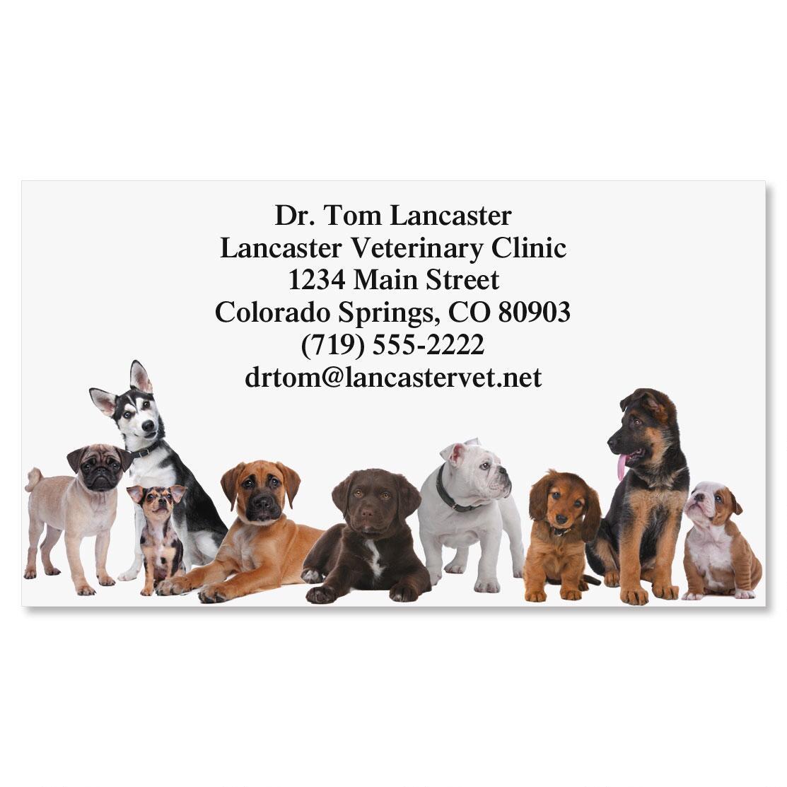 Bow Wow Business Cards | Colorful Images