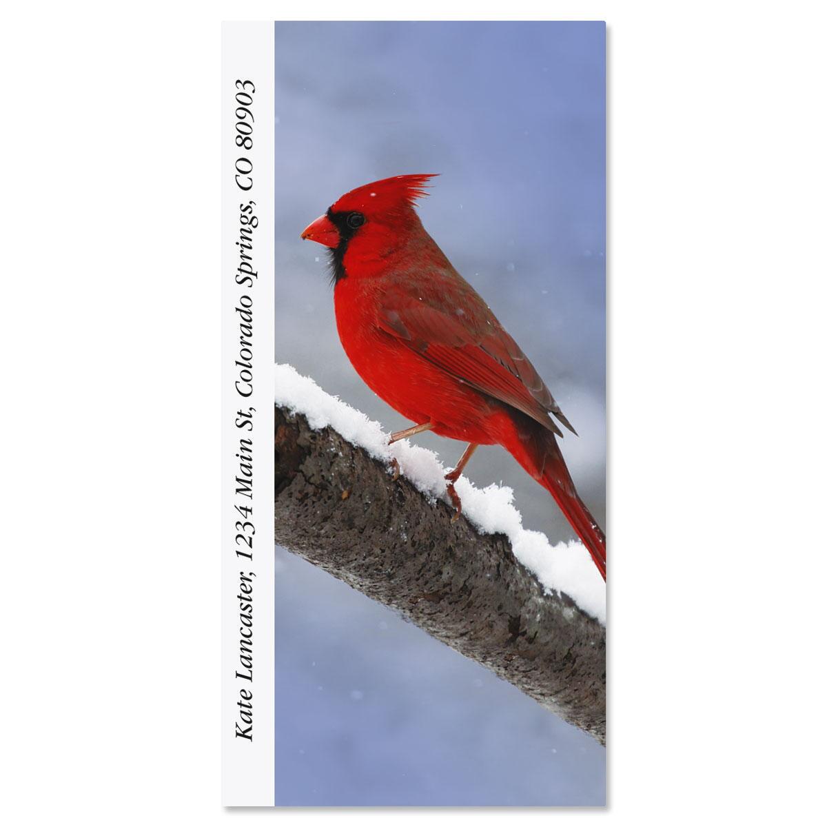 Cardinal Oversized Return Address Labels | Colorful Images