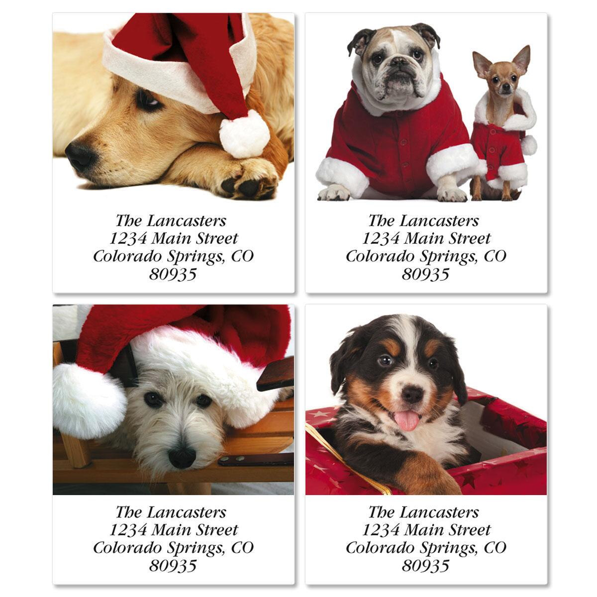 Christmas Dogs Select Return Address Labels (4 Designs) | Colorful Images