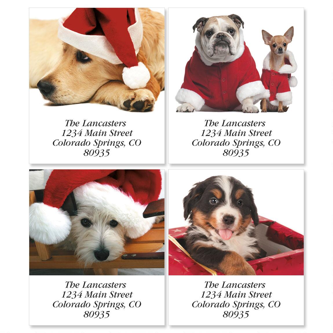 Christmas Dogs Select Return Address Labels | Colorful Images