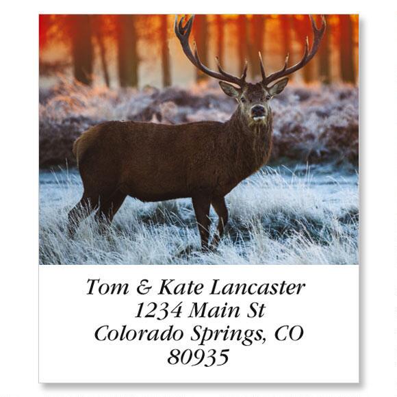 Deer Select Return Address Labels | Colorful Images