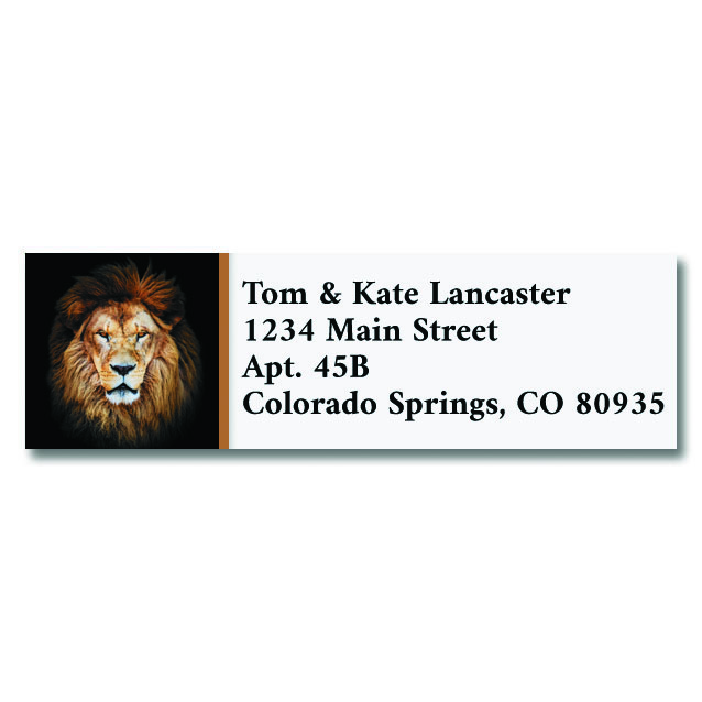 African Lion Classic Return Address Labels | Colorful Images