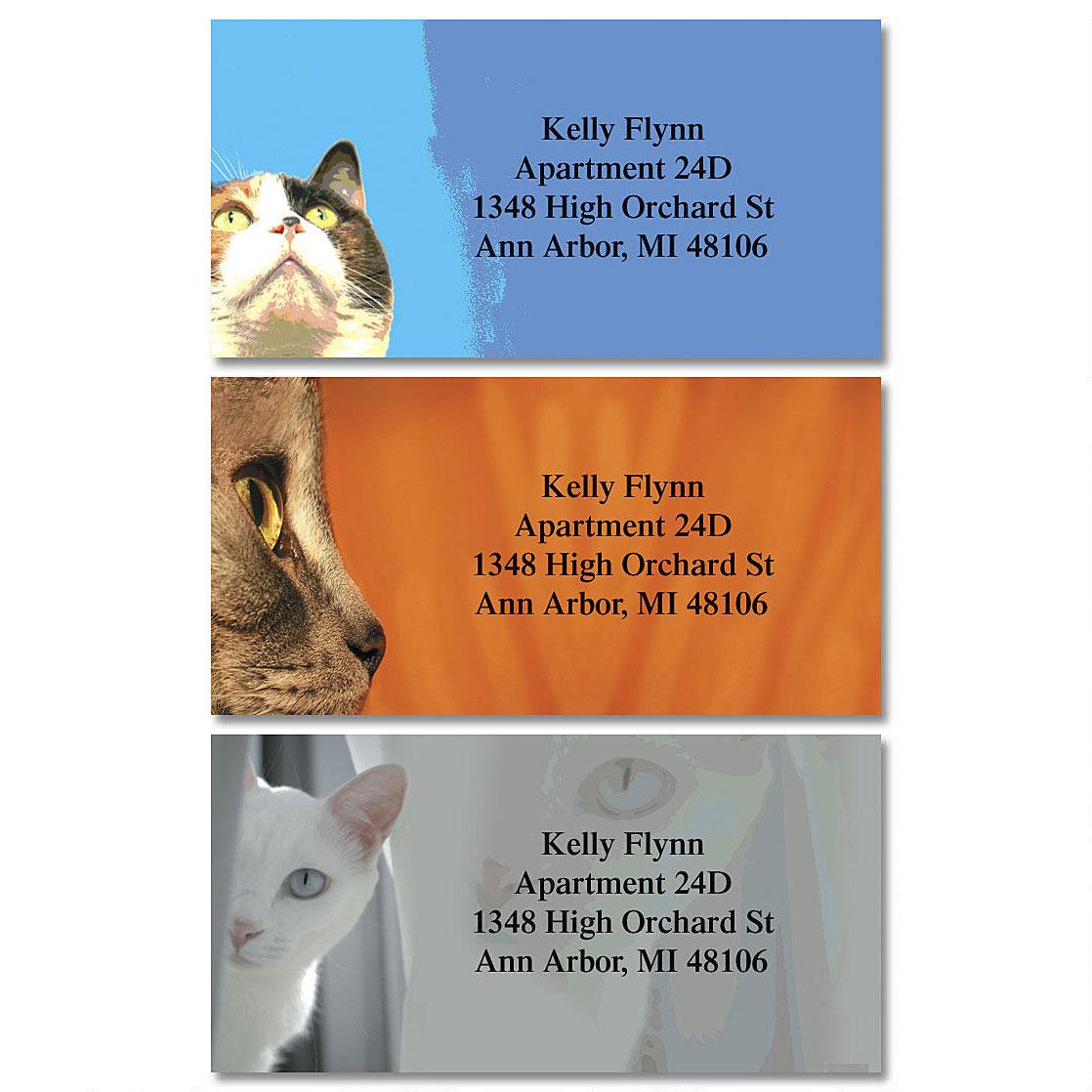 Faces of Cats Pets Border Return Address Labels | Colorful Images