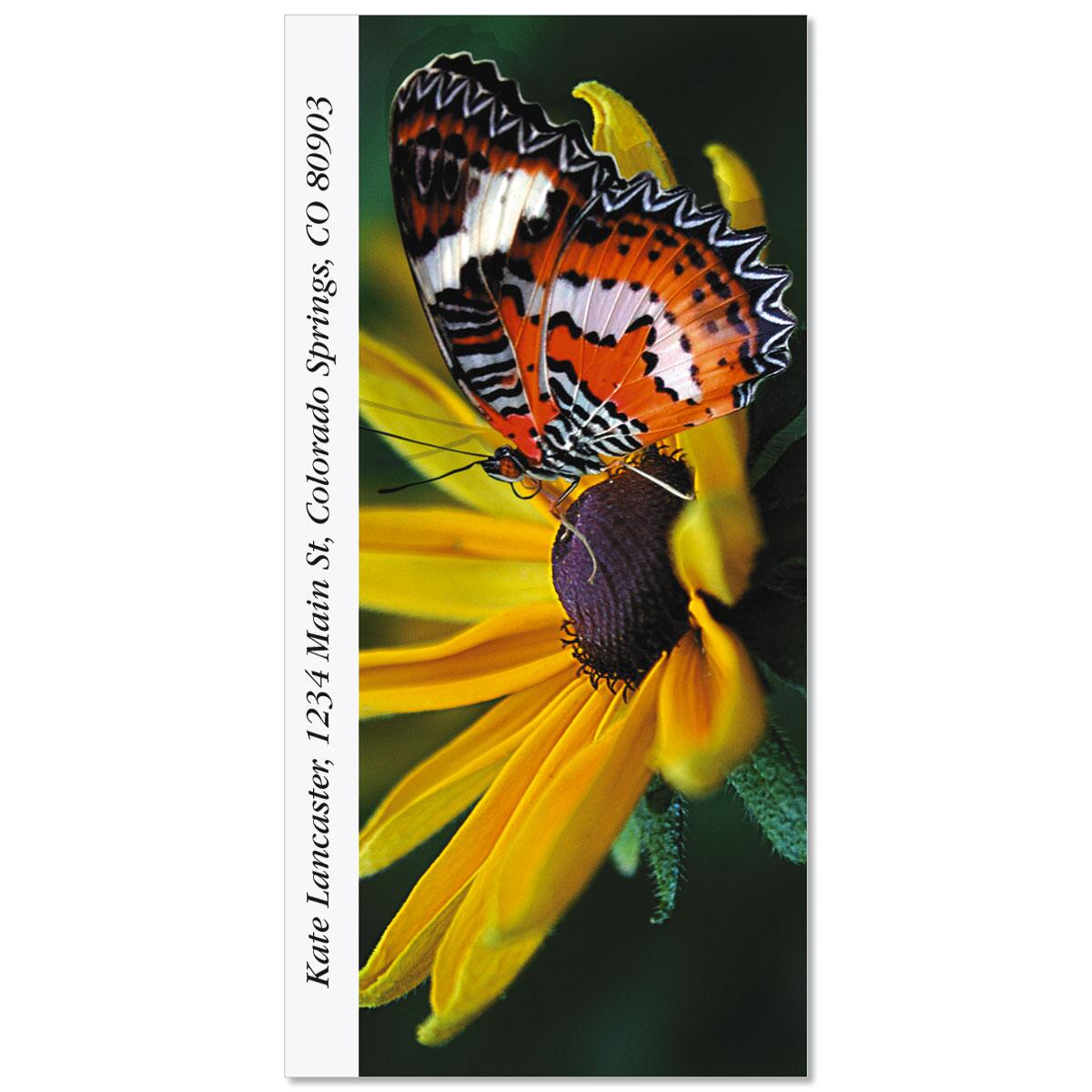 Flights of Fancy Oversized Return Address Labels | Colorful Images