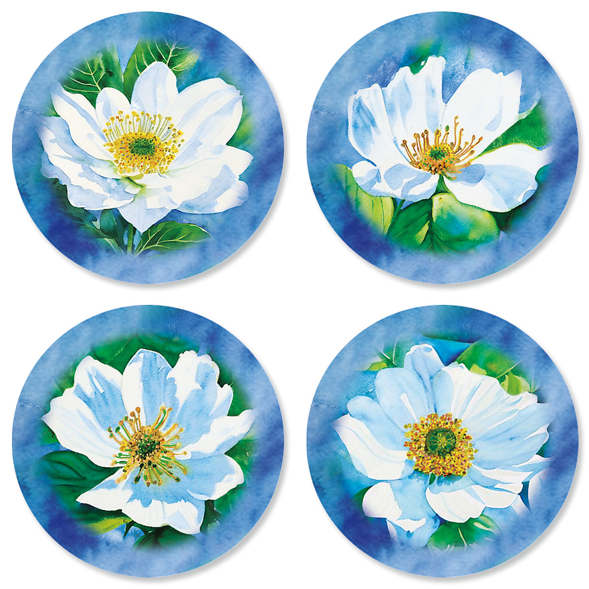 White Flowers Envelope Seals (4 Designs) | Colorful Images