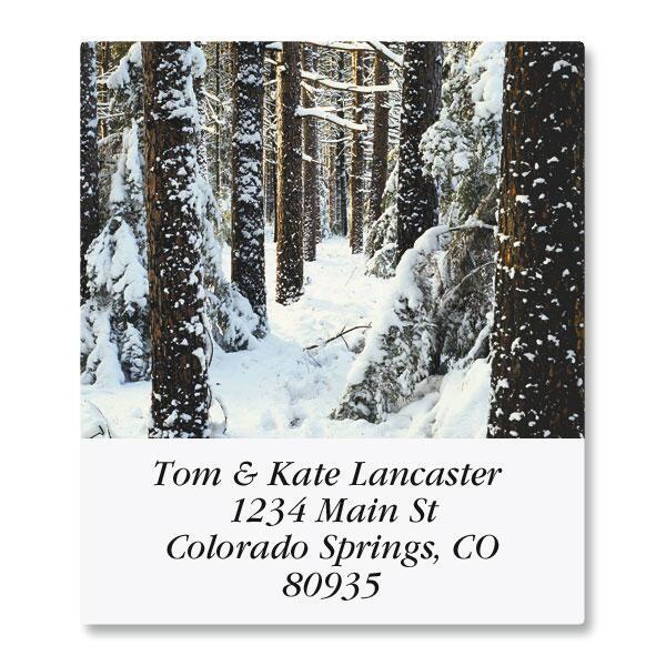 In The Trees Select Return Address Labels | Colorful Images