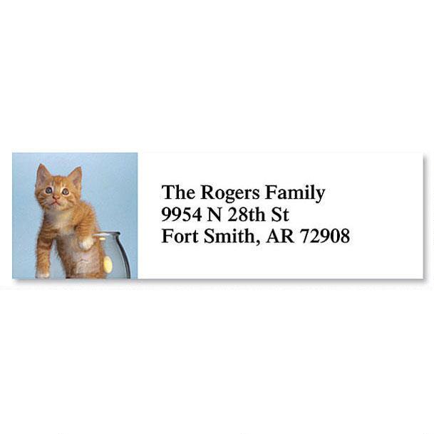 Kitty Kapers Classic Return Address Labels | Colorful Images