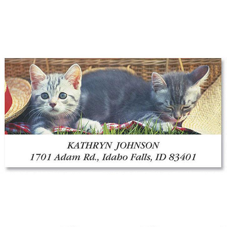 Kitty Kapers Deluxe Return Address Labels | Colorful Images