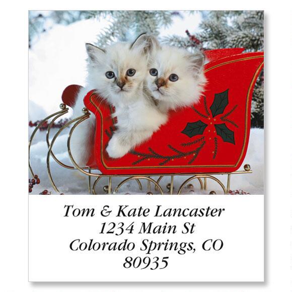 Kitty Sleigh Select Return Address Labels | Colorful Images