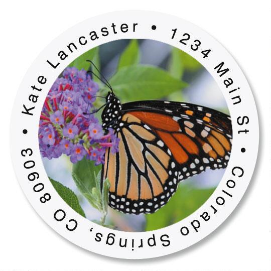 Monarch Butterfly Round Return Address Labels | Colorful Images