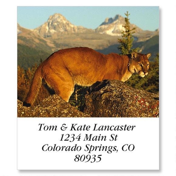 Mountain Lion Select Return Address Labels | Colorful Images