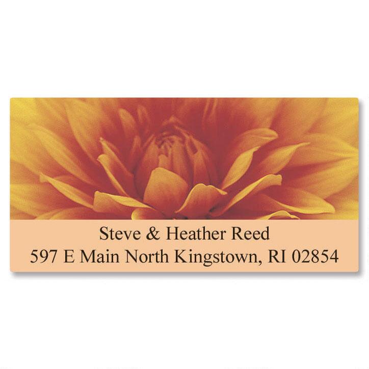 Nature's Colors Deluxe Return Address Labels | Colorful Images