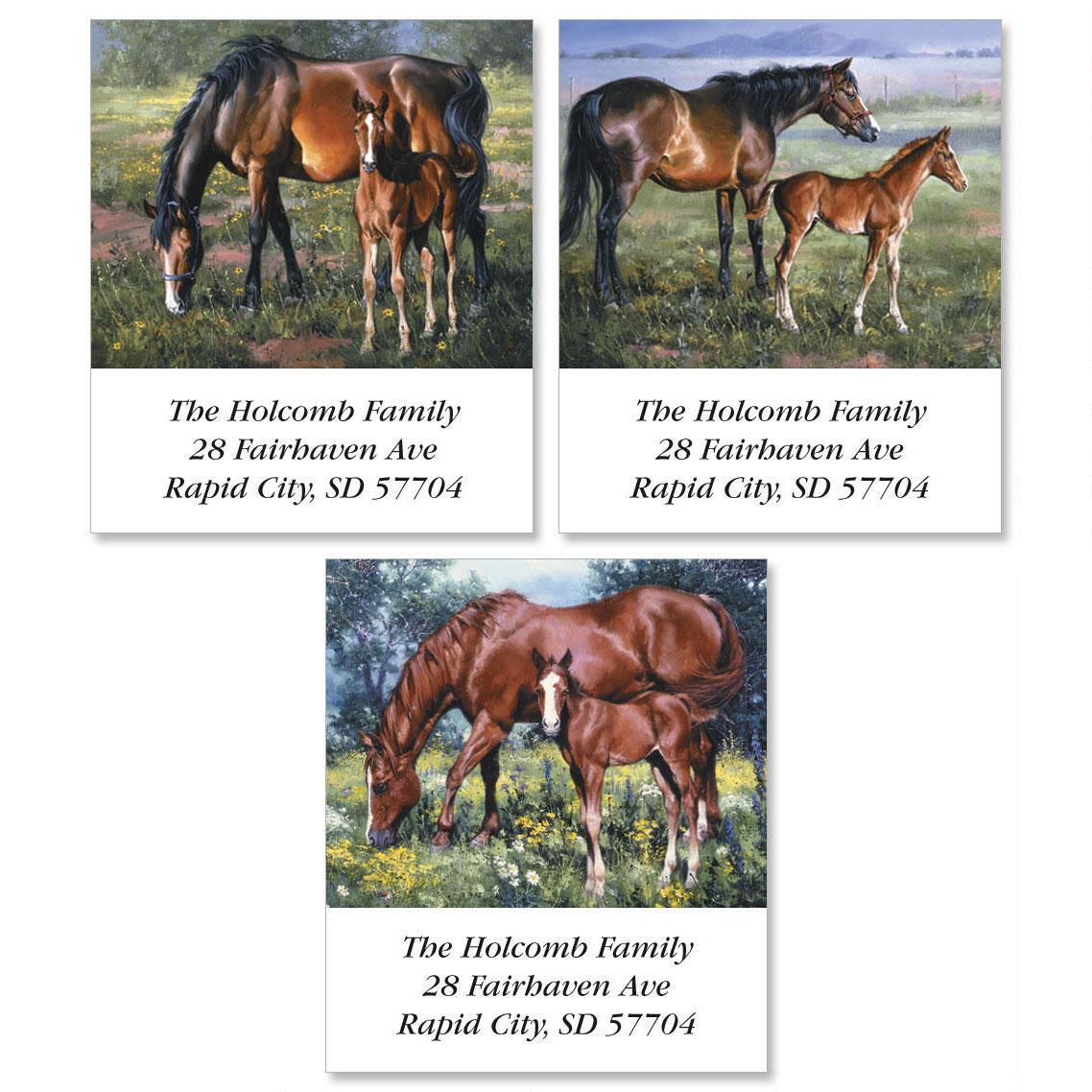 Pasteurized Select Return Address Labels | Colorful Images