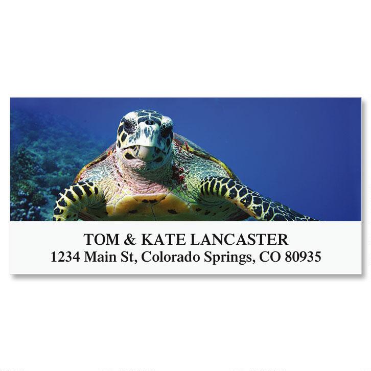 Sea Turtle Deluxe Return Address Labels L1191 | Colorful Images