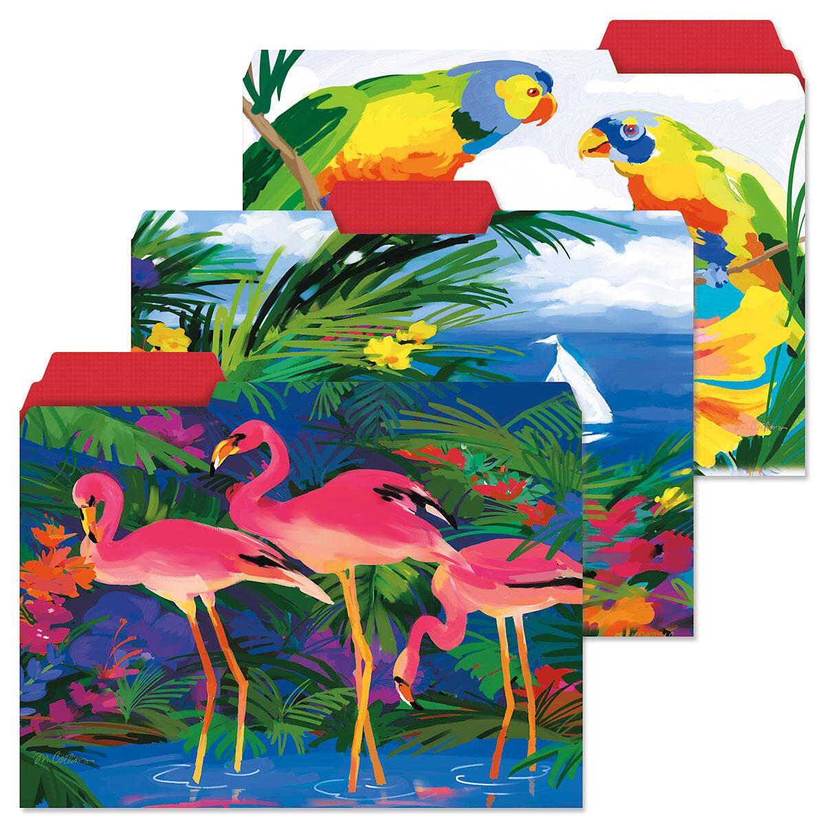 Tropics File Folders | Colorful Images