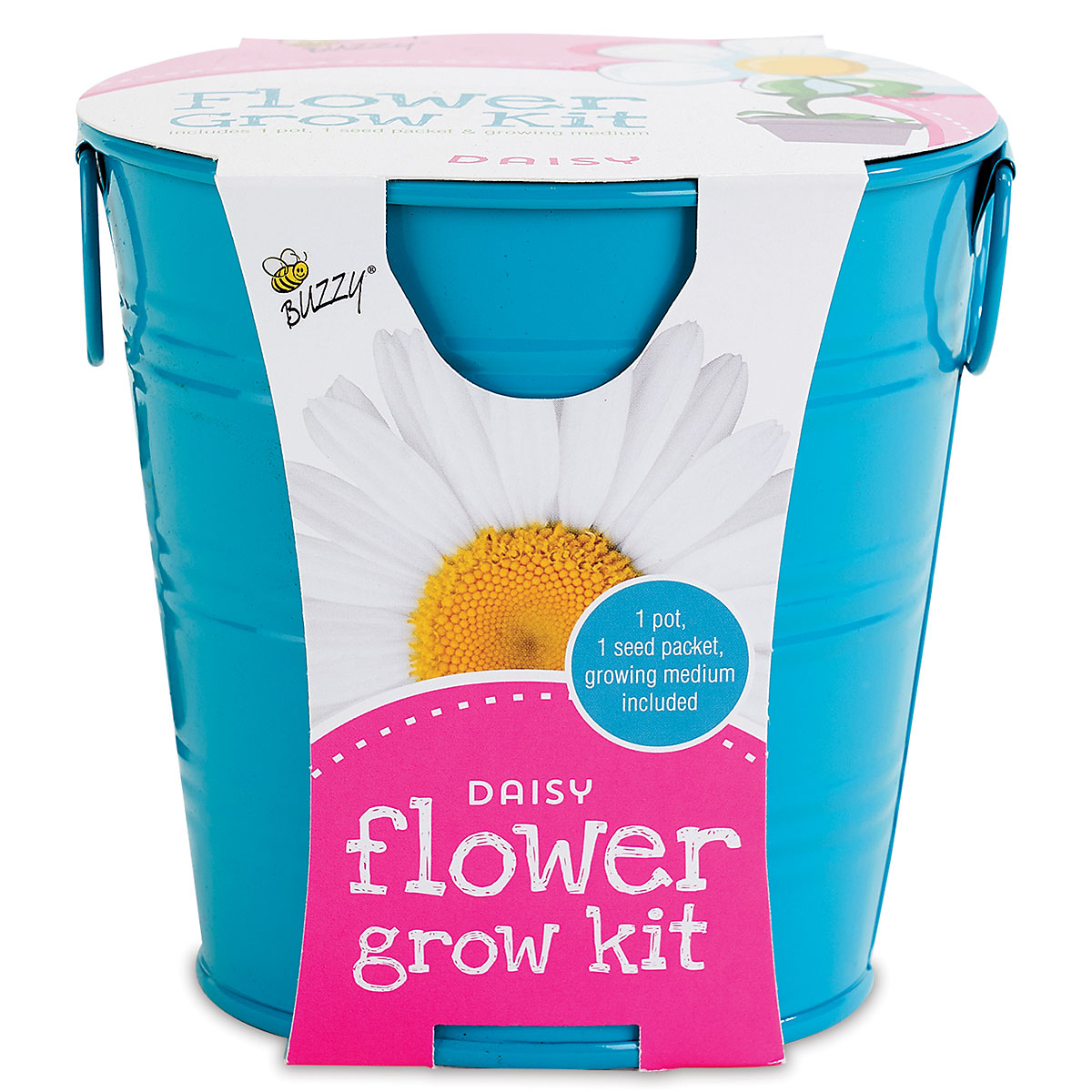 Daisy Flower Grow Pail | Colorful Images