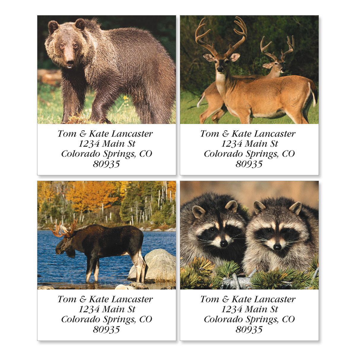 Wildlife II Select Return Address Labels | Colorful Images