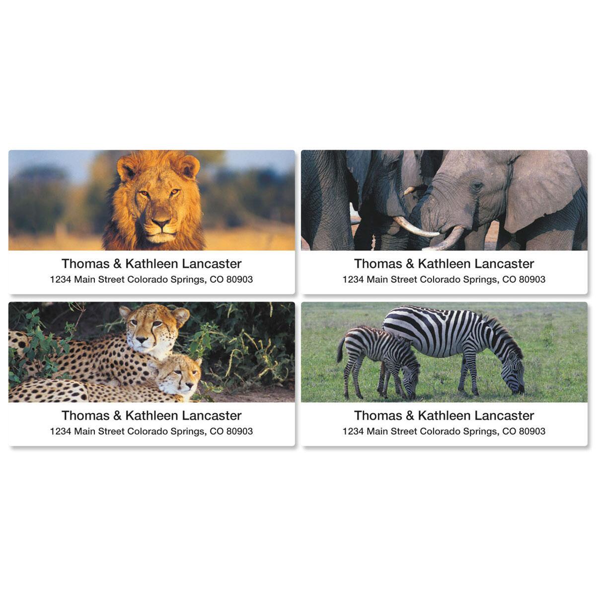 Wildlife of Africa Deluxe Return Address Labels | Colorful Images