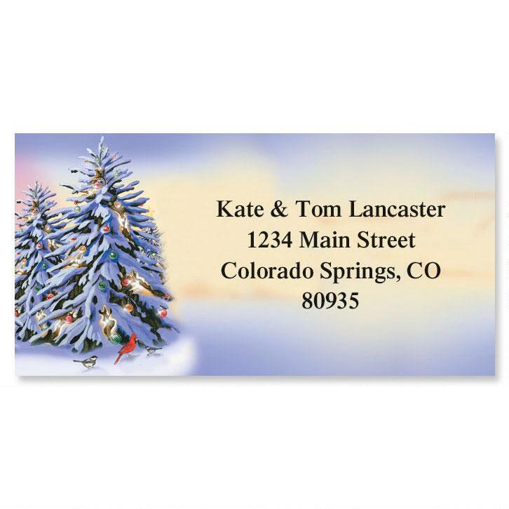 Winter Silver Holiday Border Return Address Labels | Colorful Images