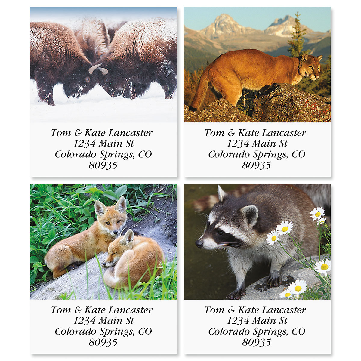 North American Wildlife Select Return Address Labels | Colorful Images