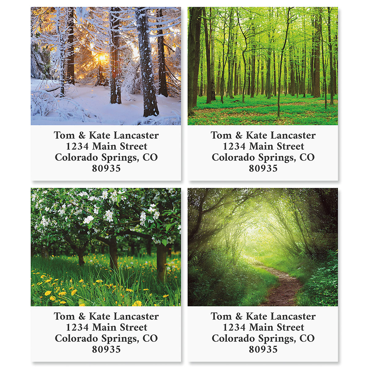 Into the Trees Select Return Address Labels | Colorful Images