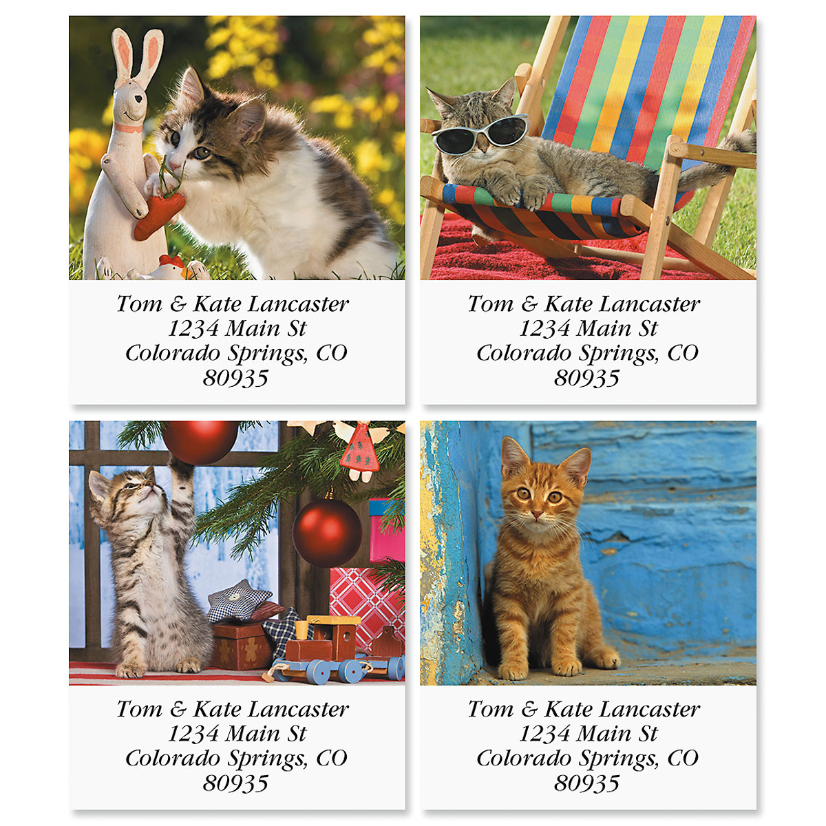 Love of Cats Select Return Address Labels | Colorful Images