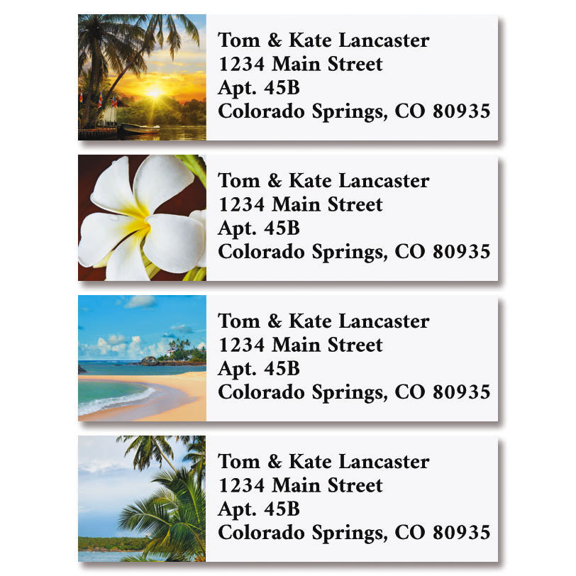 Tropical Classic Return Address Labels | Colorful Images