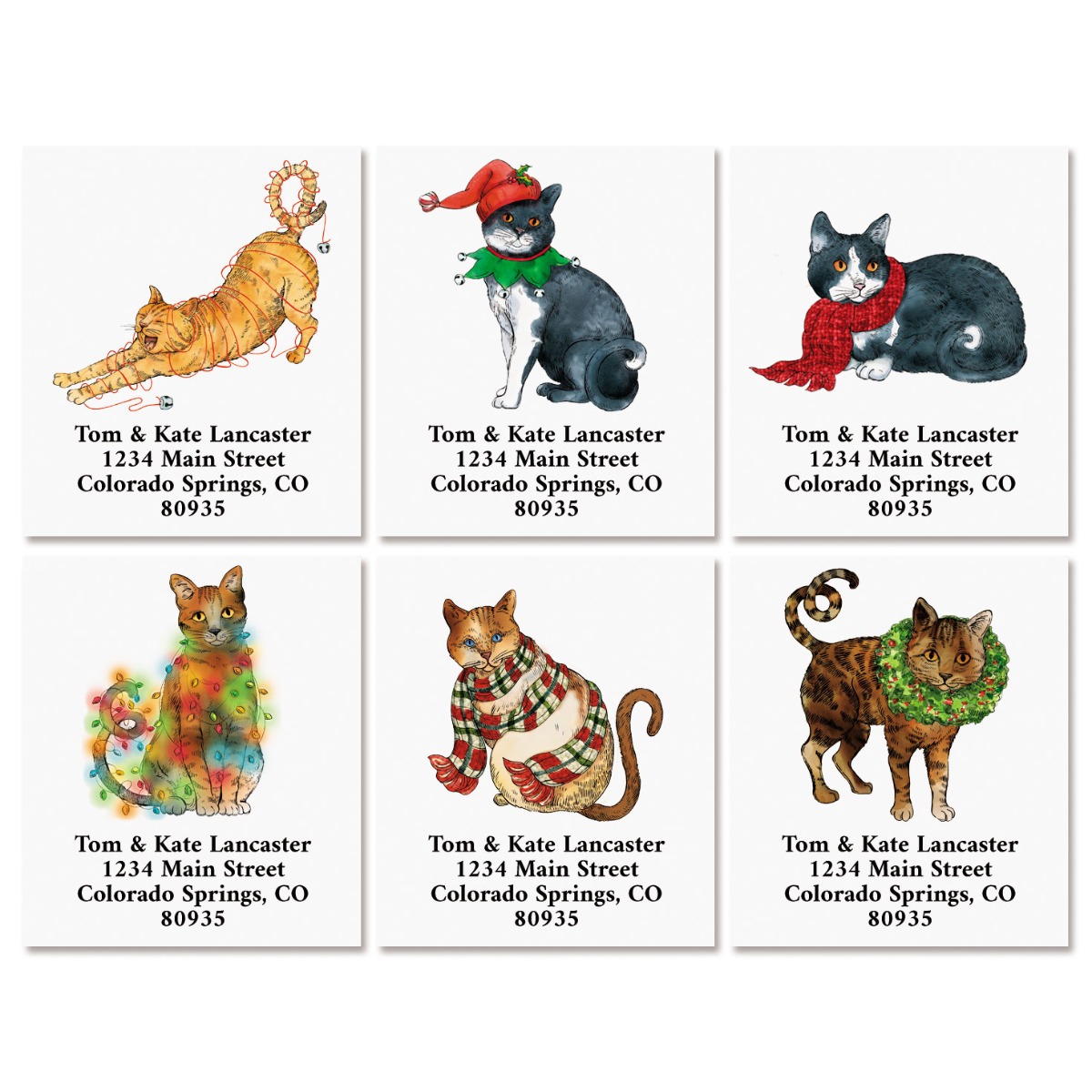 Christmas Cats Select Return Address Labels (6 Designs) | Colorful Images
