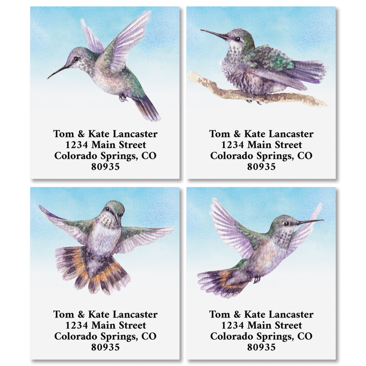 Sweet Hummingbirds Select Return Address Labels (4 Designs) | Colorful ...
