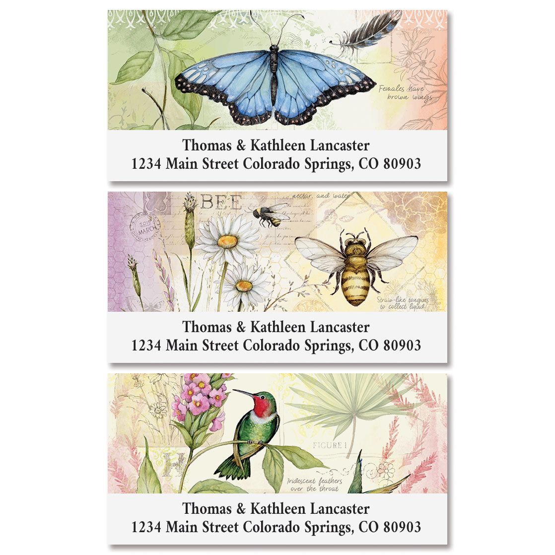 Field Guide Deluxe Return Address Labels (3 Designs) | Colorful Images