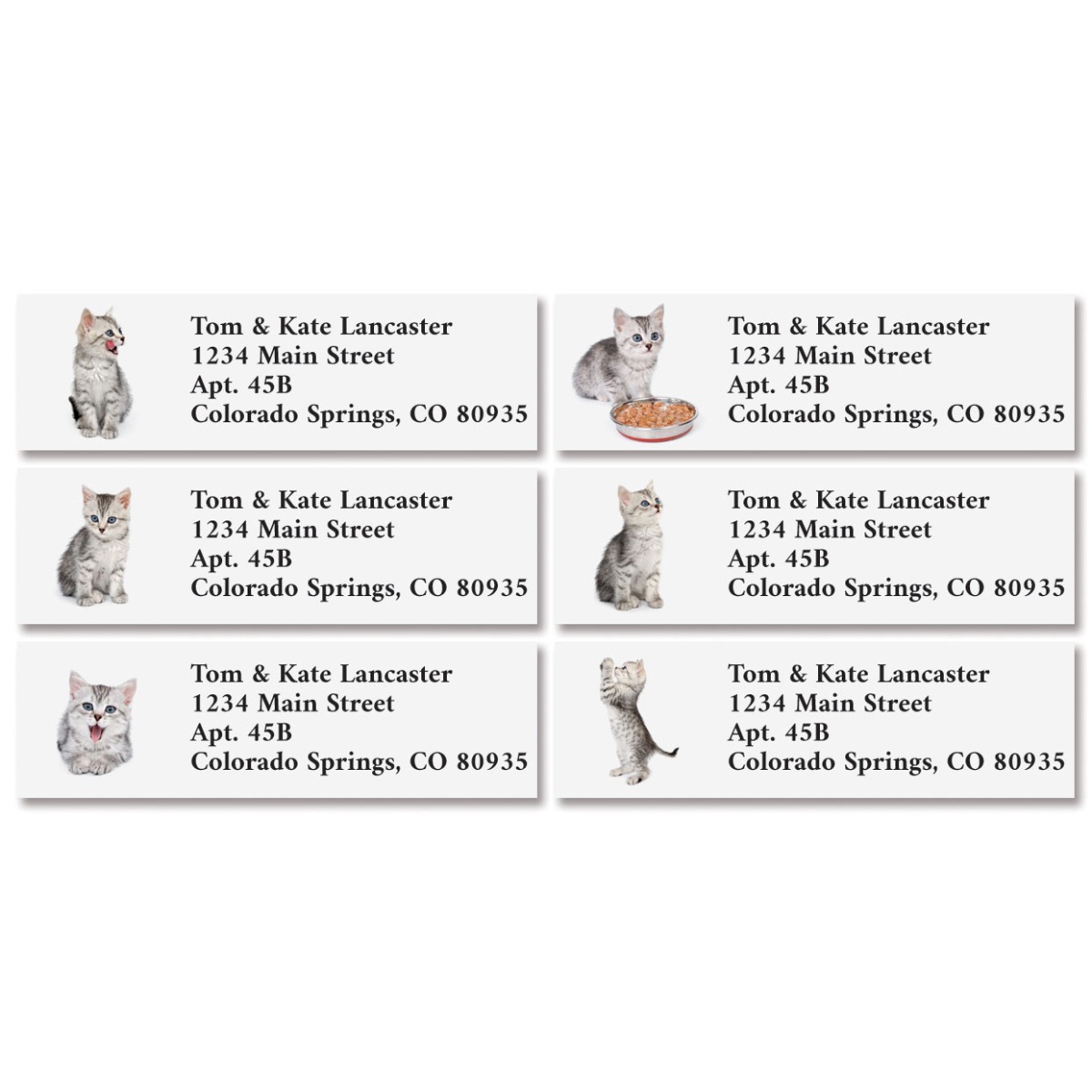 Kitty Cat Classic Return Address Labels | Colorful Images