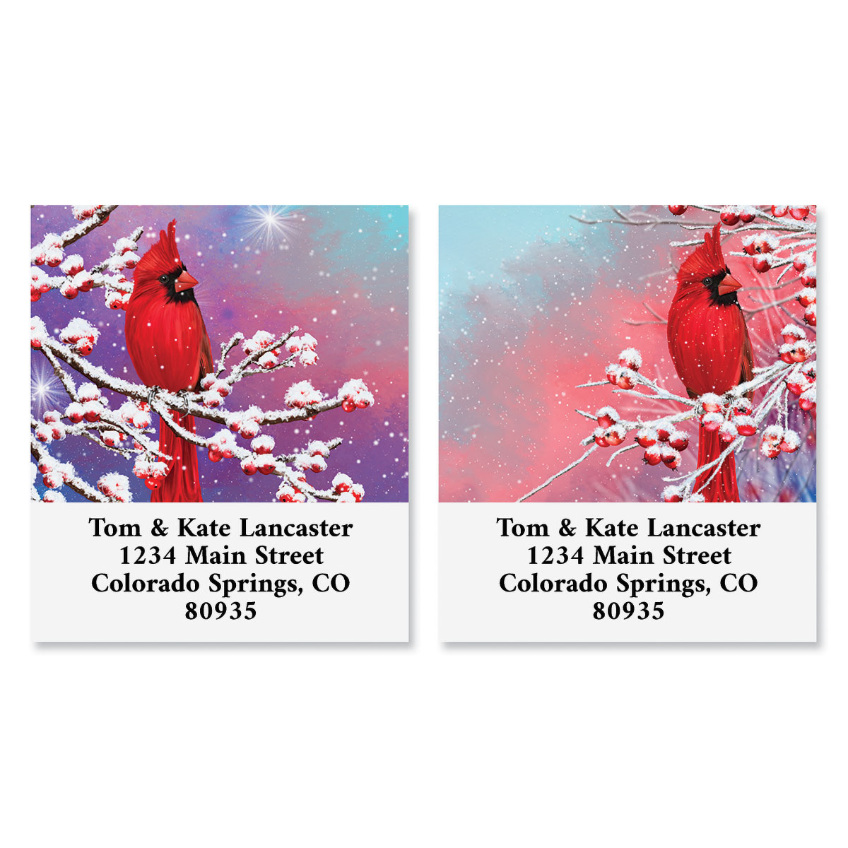 Cheerful Cardinal Select Return Address Labels (2 Designs) | Colorful ...