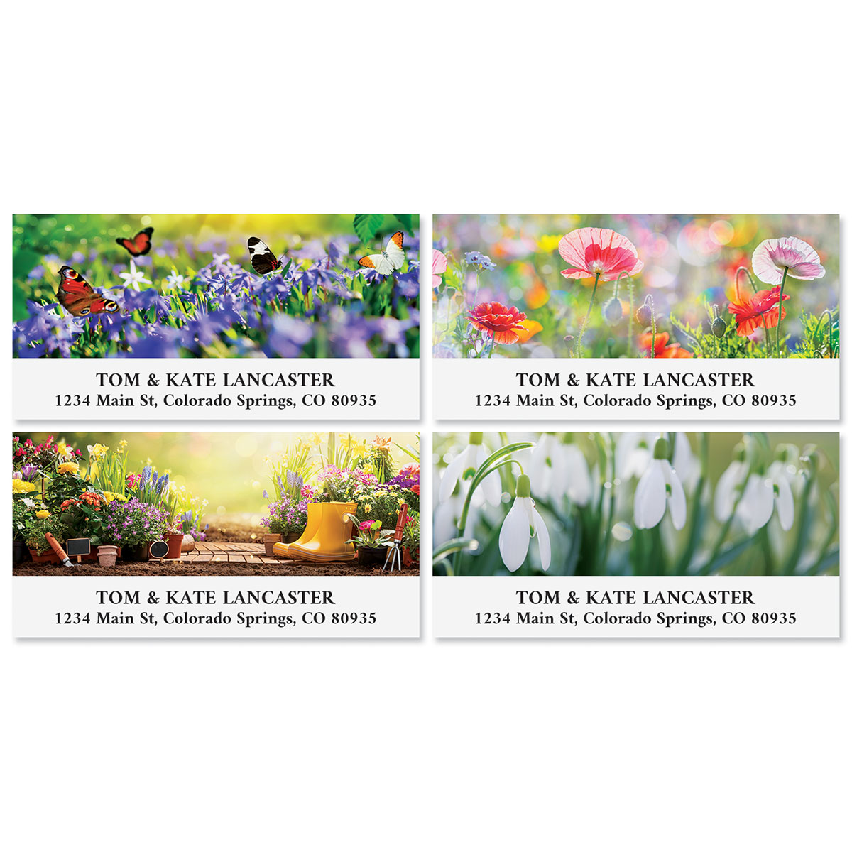 Nature Springs Deluxe Return Address Labels (6 Designs) | Colorful Images