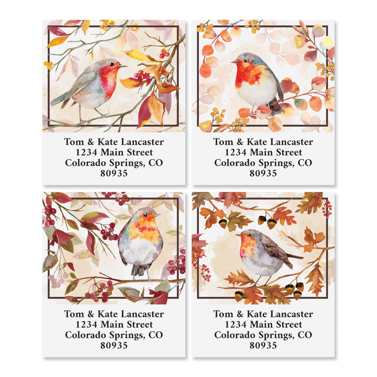 Friendly Robin Select Return Address Labels (4 Designs) | Colorful Images