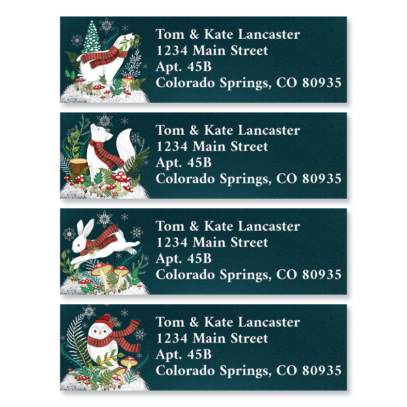 Artic Fun Classic Return Address Labels (4 Designs) | Colorful Images