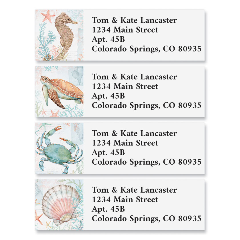 Coastal Spray Classic Return Address Labels (4 Designs) | Colorful Images