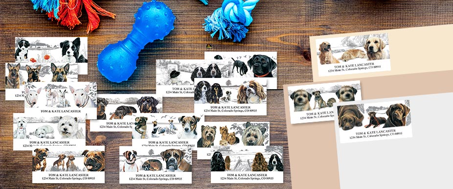 Personalized Return Address Labels | Colorful Images