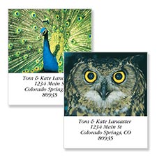 Wildlife Address Labels & Animal Address Labels | Colorful Images