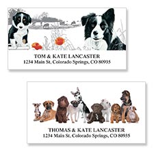Wildlife Address Labels & Animal Address Labels | Colorful Images