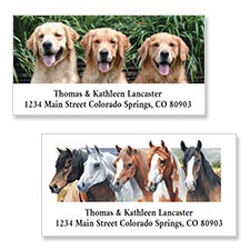 Beautiful Address Labels By Design | Colorful Images