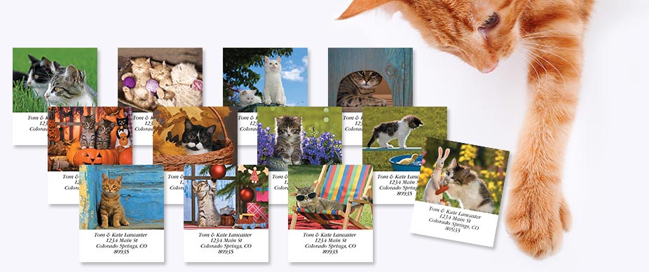 Wildlife Address Labels & Animal Address Labels | Colorful Images
