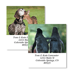 Personalized Return Address Labels | Colorful Images