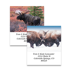 Nature Address Labels & Scenic Address Labels | Colorful Images